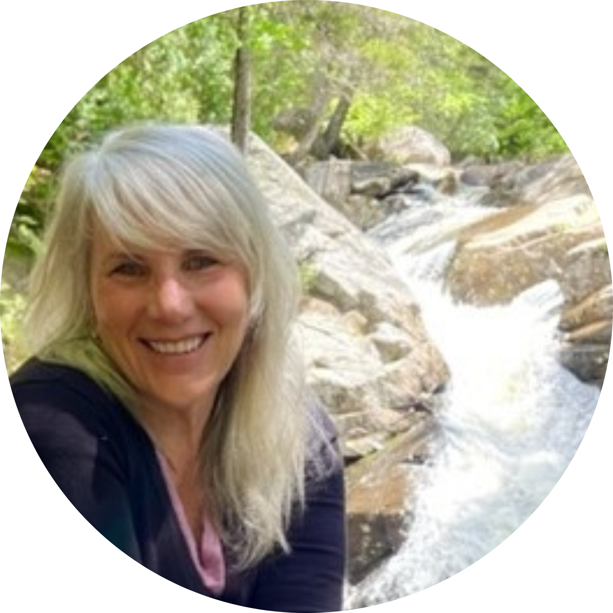 2024 Virtual Consultant Day - EMDR International Association