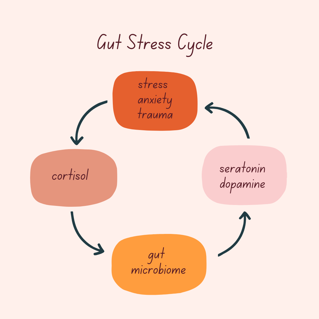 EMDR and Gut Health: Exploring the Connection - EMDR International ...
